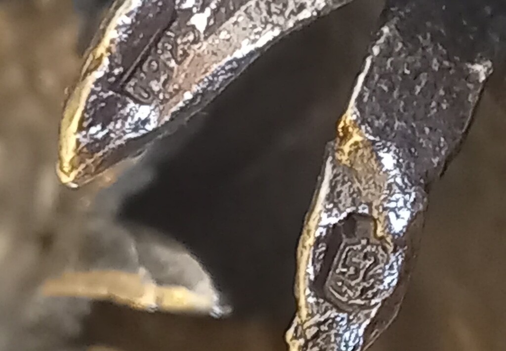 Mexico silversmiths 1955 - 1979 eagle hallmarks - Silver Collector Forums