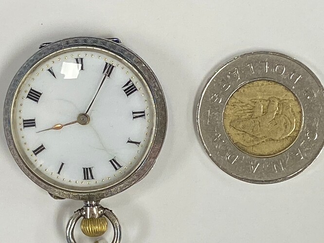 Antique watch markings, any ideas anyone? - Reading Silver Hallmarks ...