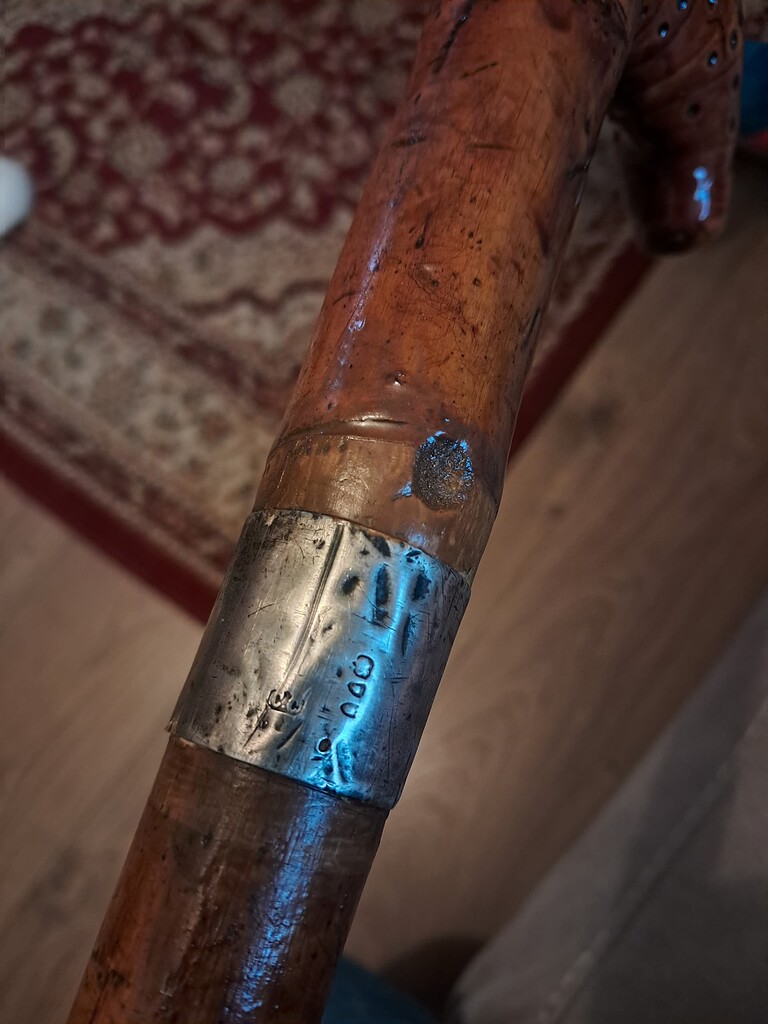 Help with walking stick marks - Identification Help - What is it ...