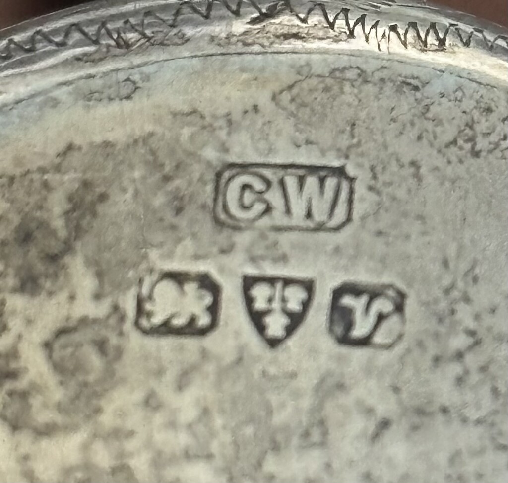 Help - identification on a military swagger stick - Reading Silver ...