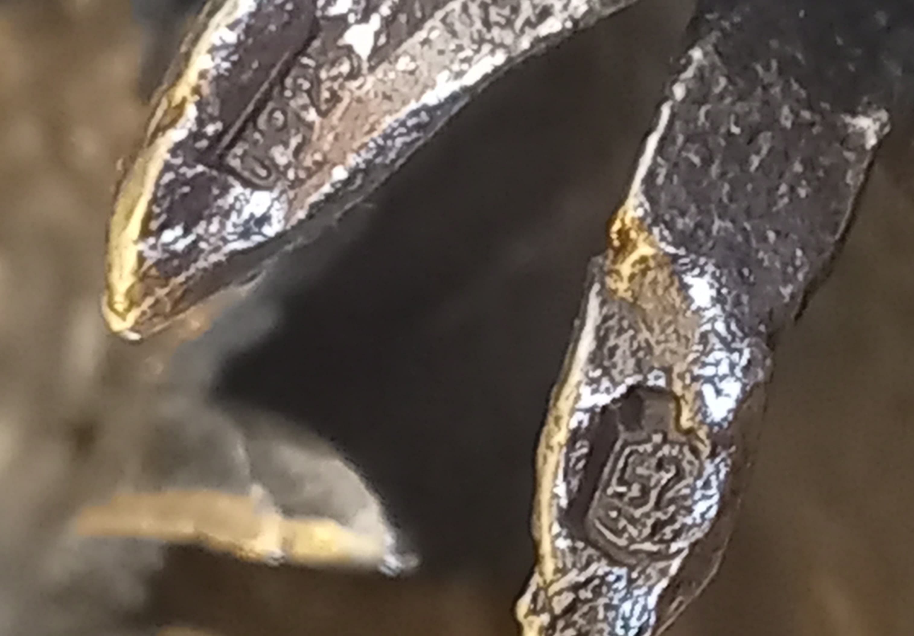 Help with unknown mark on old hawks - Silver Collector Forums